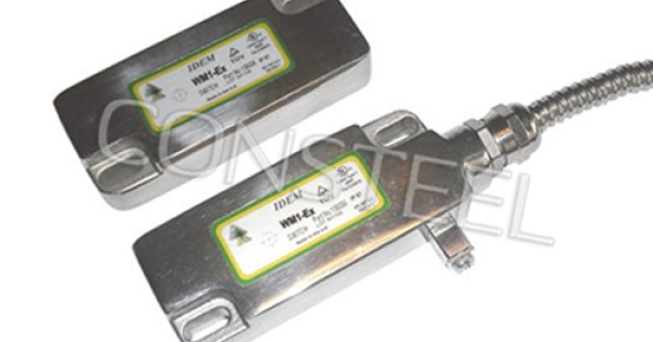 WM1-Ex Explosion Proof Stainless Steel Safety Interlock